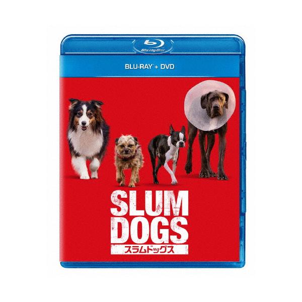 ◆品　番：GNXF-2901◆発売日：2024年02月07日発売◆出荷目安：２〜５日◆種類:Blu-ray◆PG12/DVD付◆スラムドッグス/STRAYS