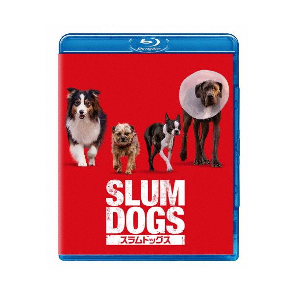 ◆品　番：GNXF-2936◆発売日：2024年10月09日発売◆出荷目安：２〜５日◆種類:Blu-ray◆PG12◆スラムドッグス/STRAYS