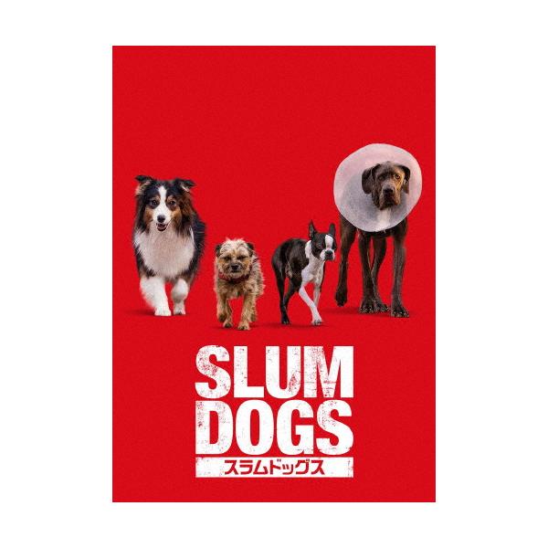 ◆品　番：GNBF-5897◆発売日：2024年10月09日発売◆出荷目安：２〜５日◆PG12◆スラムドッグス/STRAYS