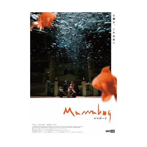 ◆品　番：DRCU-17472◆発売日：2023年12月25日発売◆出荷目安：５〜１０日◆※インディーズ商品の為、お届けまでにお時間がかかる場合がございます。予めご了承下さい。◆ママボーイ