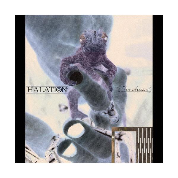 ◆品　番：WWCA-31092/B◆発売日：2005年07月27日発売◆出荷目安：５〜１０日◆DVD付/ソロ・デビュー作◆ザ・チェイン/CHAIN,THE