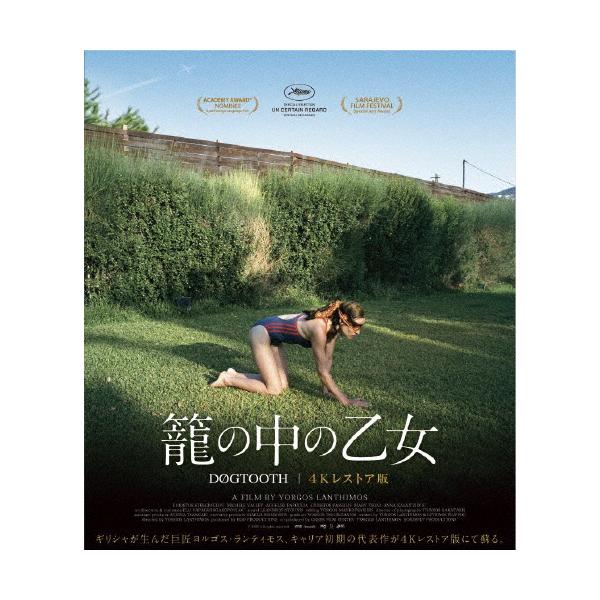 ◆品　番：TCBD-1822◆発売日：2025年08月06日発売◆出荷目安：２〜５日◆種類:Blu-ray◆カゴノナカノオトメ/DOGTOOTH