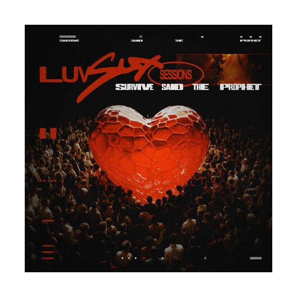 ◆品　番：XSCL-116/7◆発売日：2025年09月24日発売◆出荷目安：５〜１０日◆初回生産限定盤/Blu-ray Disc付/12インチ紙ジャケット仕様◆ラブサクセションズ/LUV SUX SESSIONS