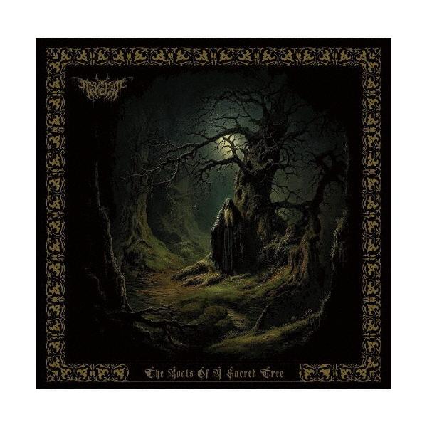 ◆品　番：MAA-56◆発売日：2024年10月02日発売◆出荷目安：2〜3週間◆※インディーズ商品につき、お届けまでにお時間がかかる場合がございます。予めご了承下さい。