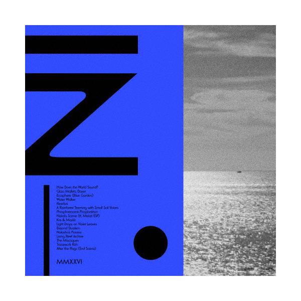 ◆品　番：ARTPL-256◆発売日：2026年04月17日発売◆出荷目安：５〜１０日◆※インディーズ商品につき、お届けまでにお時間がかかる場合がございます。予めご了承下さい。◆インシデンタルシーンズ/INCIDENTAL SCENES