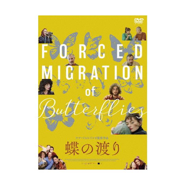 ◆品　番：OED-11134◆発売日：2025年12月03日発売◆出荷目安：２〜５日◆チョウノワタリ/FORCED MIGRATION OF BUTTERFLIES