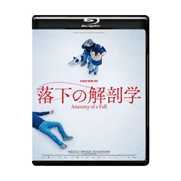 ◆品　番：GABSX-2837◆発売日：2025年11月12日発売◆出荷目安：２〜５日◆種類:Blu-ray◆ラッカノカイボウガク/ANATOMIE D'UNE CHUTE