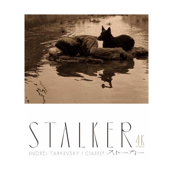 ◆品　番：IVBD-1317◆発売日：2024年10月31日発売◆出荷目安：５〜１０日◆種類:Blu-ray◆ストーカーアンドレイタルコフスキー/STALKER