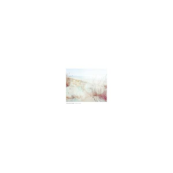 ◆品　番：FAMC-193◆発売日：2015年08月05日発売◆出荷目安：５〜１０日◆紙ジャケット仕様◆アンビエンスパレード/AMBIENCE PARADE
