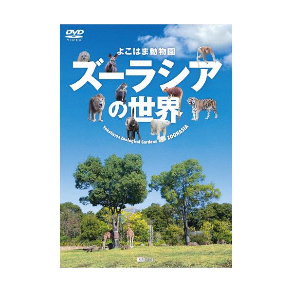 ◆品　番：SDB-31◆発売日：2024年07月19日発売◆出荷目安：５〜１０日◆シンフォレストディーブイディーヨコハマドウブツエンズーラシアノセカイ