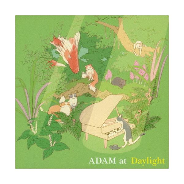 ◆品　番：VICL-65515◆発売日：2021年06月23日発売◆出荷目安：２〜５日◆デイライト/DAYLIGHT