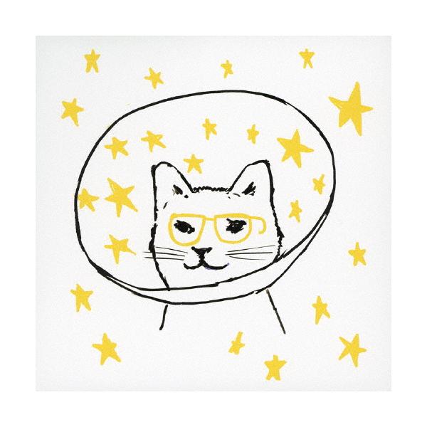 ◆品　番：UMCK-5433◆発売日：2013年05月15日発売◆出荷目安：１〜２日◆スターラブレイション