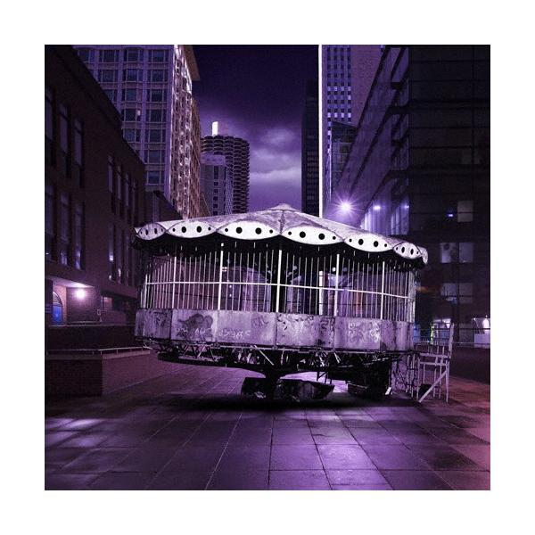 ◆品　番：VPCC-82333◆発売日：2015年08月05日発売◆出荷目安：５〜１０日◆通常盤◆インサイトレジャー/INSIGHT/LEDGER