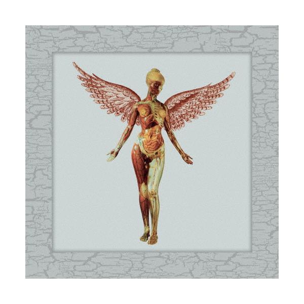 ◆品　番：UICY-80355/9◆発売日：2023年11月15日発売◆出荷目安：５〜１０日◆完全生産限定盤/SHM-CD/アクリル・パネル+写真集+ファンジン+ポスター・リトグラフ+チケットの半券2枚付◆※先着特典B2ポスターはお付けして...