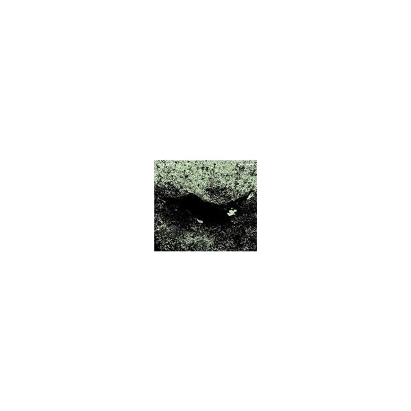◆品　番：DYMC-301◆発売日：2018年06月27日発売◆出荷目安：1〜2週間◆※インディーズ商品につき、お届けまでにお時間がかかる場合がございます。予めご了承下さい。◆ノートレイルアンドアザーアンホーリーパスス