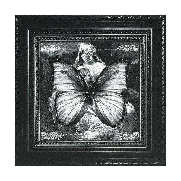 ◆品　番：DYMC-362◆発売日：2021年06月23日発売◆出荷目安：1〜2週間◆※インディーズ商品の為、お届けまでにお時間がかかる場合がございます。予めご了承下さい。◆カツボウノツバサ