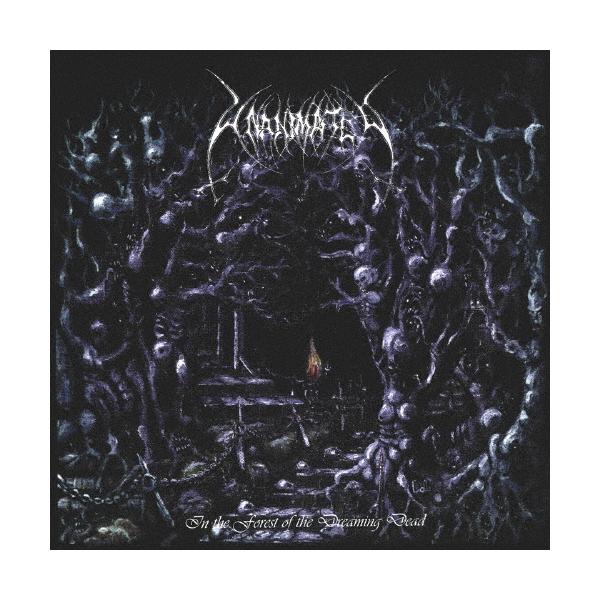 ◆品　番：DYMC-6068◆発売日：2022年01月19日発売◆出荷目安：1〜2週間◆※インディーズ商品の為、お届けまでにお時間がかかる場合がございます。予めご了承下さい。◆インザフォレストオブザドリーミングデッド