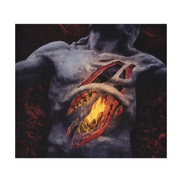 ◆品　番：DYMC-409◆発売日：2023年10月25日発売◆出荷目安：１〜２週間◆※インディーズ商品の為、お届けまでにお時間がかかる場合がございます。予めご了承下さい。◆ザシンオブヒューマンフレイルティ