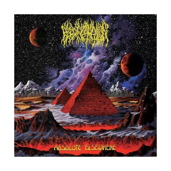 ◆品　番：DYMC-416◆発売日：2024年11月06日発売◆出荷目安：１〜２週間◆※インディーズ商品の為、お届けまでにお時間がかかる場合がございます。予めご了承下さい。◆アブソルートエルスホウェア