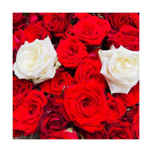 ◆品　番：REME-1◆発売日：2025年11月05日発売◆出荷目安：１〜２週間◆※インディーズ商品の為、お届けまでにお時間がかかる場合がございます。予めご了承下さい。