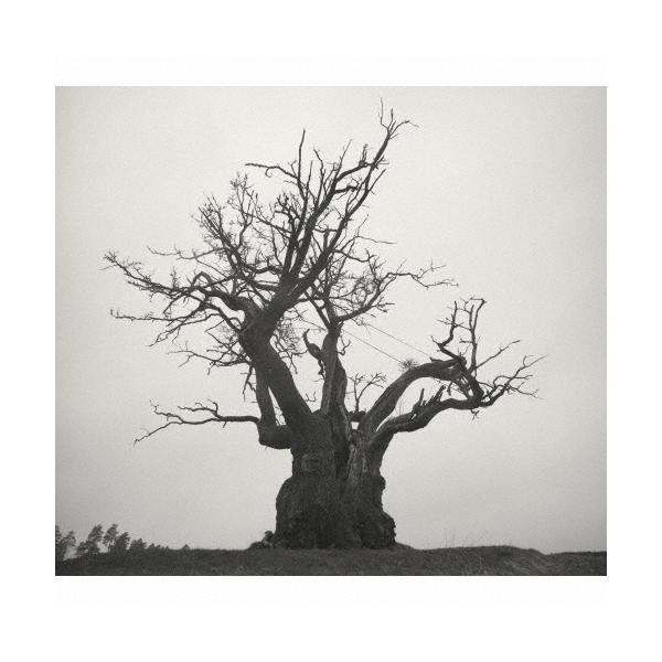 ◆品　番：TFCC-86713◆発売日：2021年02月10日発売◆出荷目安：２〜５日◆通常盤◆※先着特典：ポストカードは終了致しました。◆セカイノオワリ２０１０カラ２０１９/SEKAI NO OWARI 2010-2019