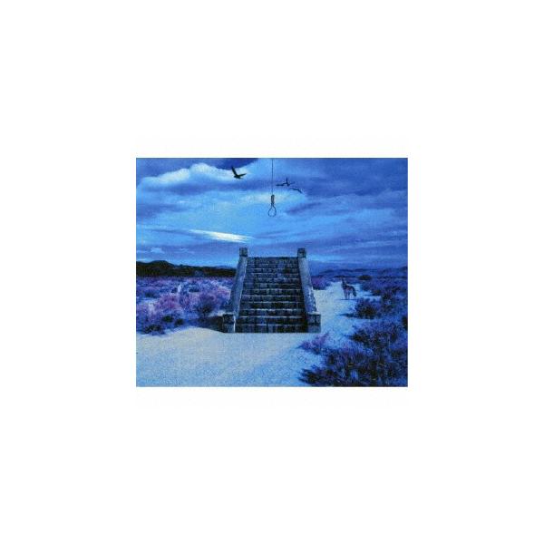 ◆品　番：AVCD-38128◆発売日：2010年07月07日発売◆出荷目安：２〜５日◆サーティーン/13