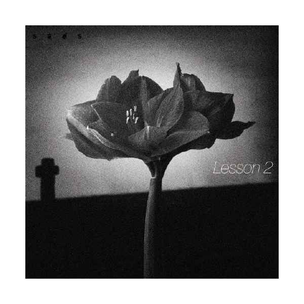 ◆品　番：AVCD-38209◆発売日：2010年12月08日発売◆出荷目安：５〜１０日◆ジャケットB◆レッスン２/LESSON 2