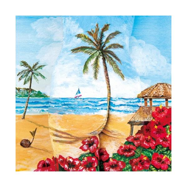 ◆品　番：AVCD-83588/B◆発売日：2016年08月03日発売◆出荷目安：５〜１０日◆DVD付◆ヤシノキノヨウニカラーバリエーションキミトノナツ