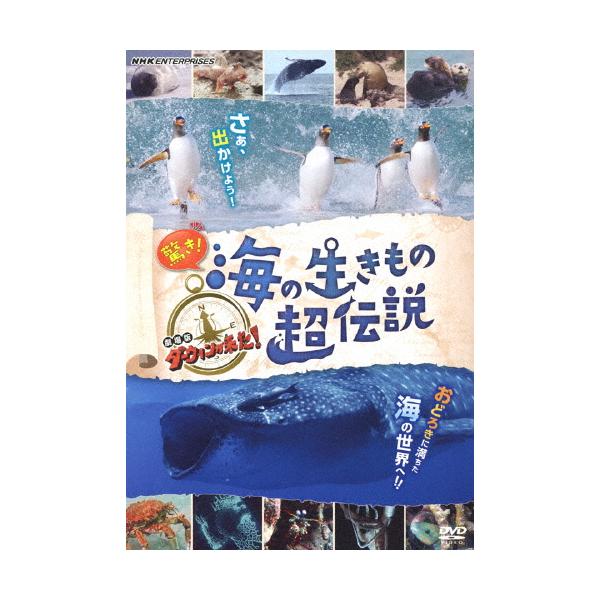 ◆品　番：NSDS-25481◆発売日：2022年04月22日発売◆出荷目安：５〜１０日◆オドロキウミノイキモノチョウデンセツゲキジョウバンダーウィンガキタ