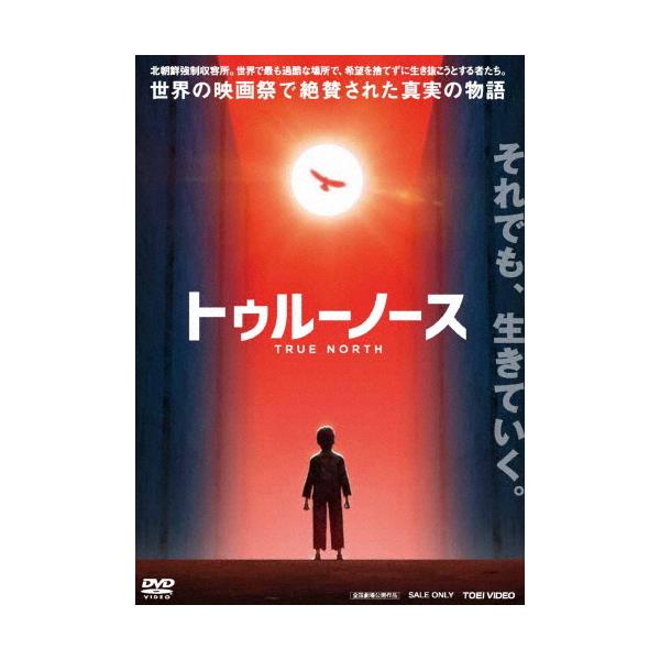 ◆品　番：DSTD-20510◆発売日：2021年11月10日発売◆出荷目安：５〜１０日◆トゥルーノース/TRUE NORTH