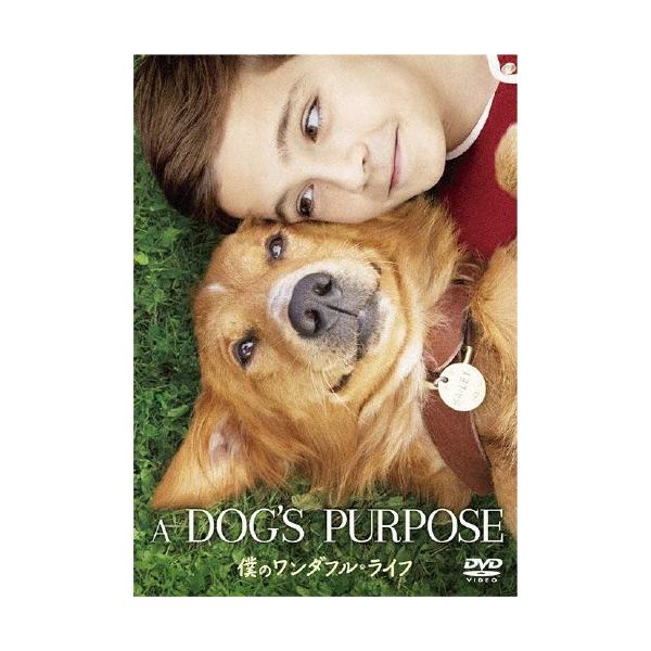 ◆品　番：GNBF-3926◆発売日：2018年10月11日発売◆出荷目安：２〜５日◆ボクノワンダフルライフ/DOG'S PURPOSE,A