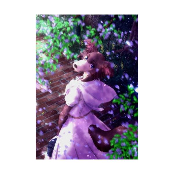 ◆品　番：TDV-29248D◆発売日：2020年06月17日発売◆出荷目安：５〜１０日◆描き下ろしジャケット仕様◆ビースターズボリューム４/BEASTARS VOL.4 DVD