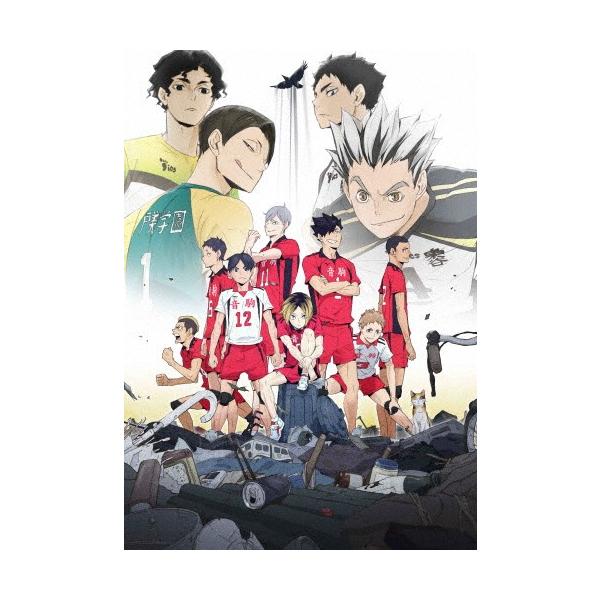 ◆品　番：TDV-29289D◆発売日：2020年01月22日発売◆出荷目安：２〜５日◆オーブイエーハイキューリクタイクウ