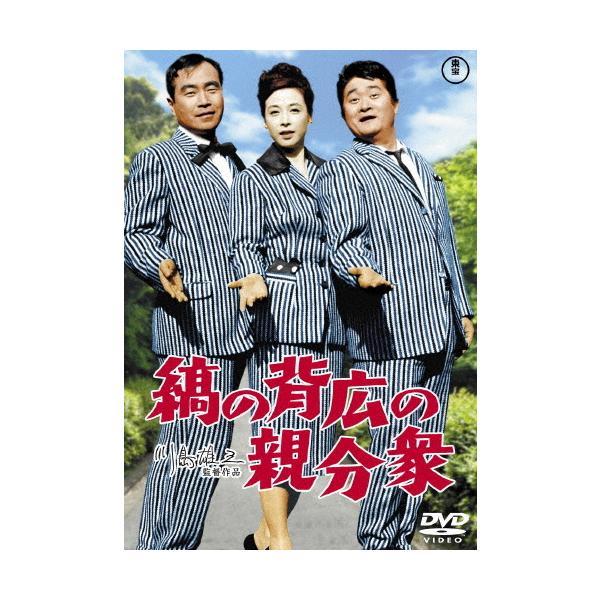 ◆品　番：TDV-31259D◆発売日：2022年01月19日発売◆出荷目安：５〜１０日◆シマノセビロノオヤブンシュウ