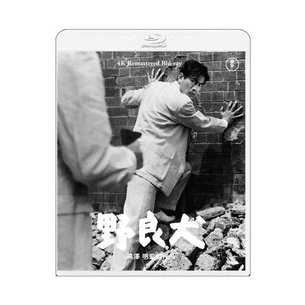 ◆品　番：TBR-33112D◆発売日：2023年03月15日発売◆出荷目安：２〜５日◆種類:Blu-ray◆ノライヌ