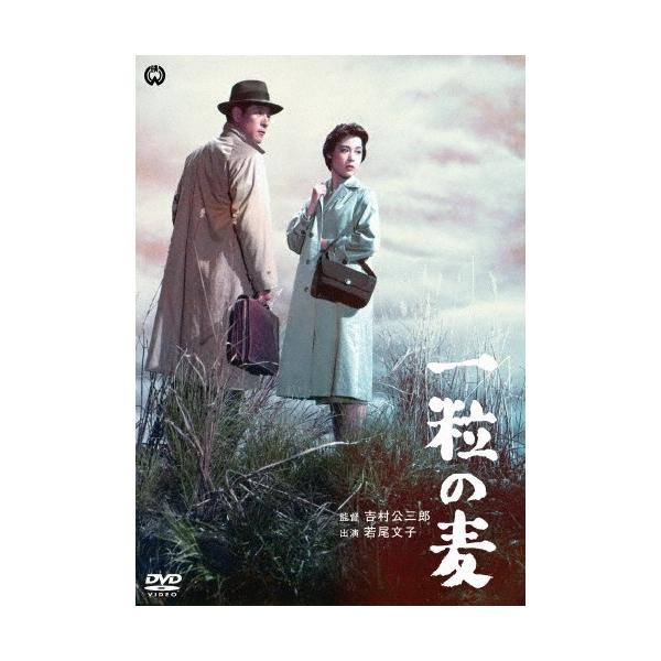 ◆品　番：DABA-91143◆発売日：2016年05月27日発売◆出荷目安：５〜１０日◆ヒトツブノムギ