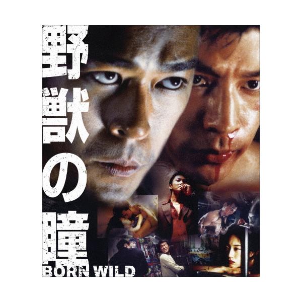 ◆品　番：TWBS-5519◆発売日：2026年09月02日発売◆出荷目安：発売日前日〜３日◆種類:Blu-ray◆ヤジュウノヒトミボーンワイルド/BORN WILD