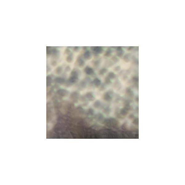 ◆品　番：5419-727437◆発売日：2023年02月24日発売◆出荷目安：２〜５日◆◆国内入荷予定が遅れる場合もございます◆◆※海外メーカー都合により、商品内容が急遽変更となる場合がございます。◆※発売日は現地の発売日です。※日本語ブ...