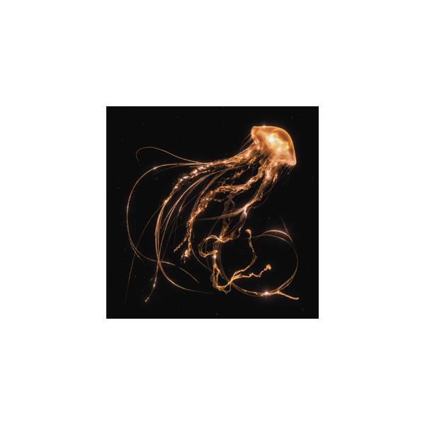 ◆品　番：5419-767978◆発売日：2023年09月01日発売◆出荷目安：約1週間（品切時2〜3週間）◆◆国内入荷予定が遅れる場合もございます◆◆※海外メーカー都合により、商品内容が急遽変更となる場合がございます。◆※発売日は現地の発...