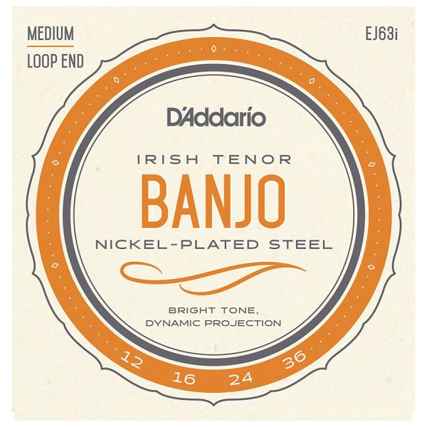 在庫状況：お取り寄せ/3日〜5日で出荷/◆明るくスタンダードなトーンと快適な演奏性◆Irish Tenor Banjo Nickel Plated◆.012 /.016 /.024 /.036/[EJ63I]