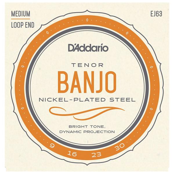 在庫状況：お取り寄せ/3日〜5日で出荷/◆明るくスタンダードなトーンと快適な演奏性◆Tenor Banjo Nickel Plated◆.009 /.016 /.023 /.030/[EJ63]