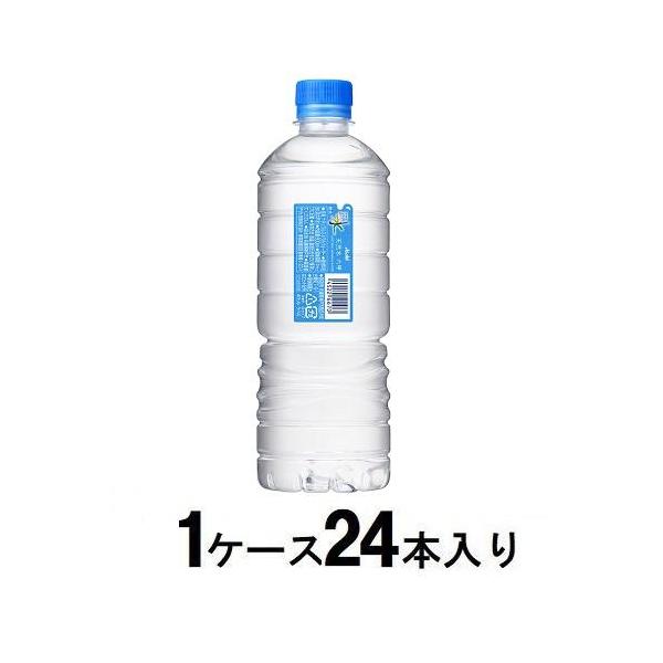 在庫状況：お取り寄せ/7日〜10日で出荷/※仕様及び外観は改良のため予告なく変更される場合がありますので、最新情報はメーカーページ等にてご確認ください。※1箱(24本入)でのお届けとなります。◆まろやかで口当たりが良く、どんな温度でもおいし...