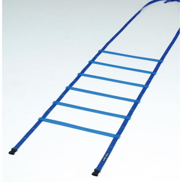 在庫状況：お取り寄せ/※画像はイメージです。※こちらの商品は幅50cmプレートのみです。◆スピードラダー用プレート◆幅50cm/[G1478PTOEILIGHT]