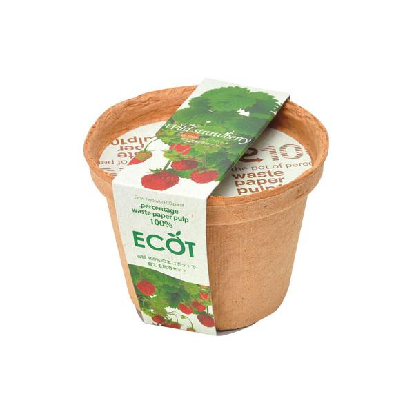 在庫状況：お取り寄せ/7日〜10日で出荷/◆エコなポット(エコット)でハーブや野菜を育てる栽培セットです。◆Sサイズではハーブが、Mサイズでは野菜がしっかりと育ちます。◆エコットで環境への配慮の小さな一歩を踏み出してみませんか?　・サイズ(...