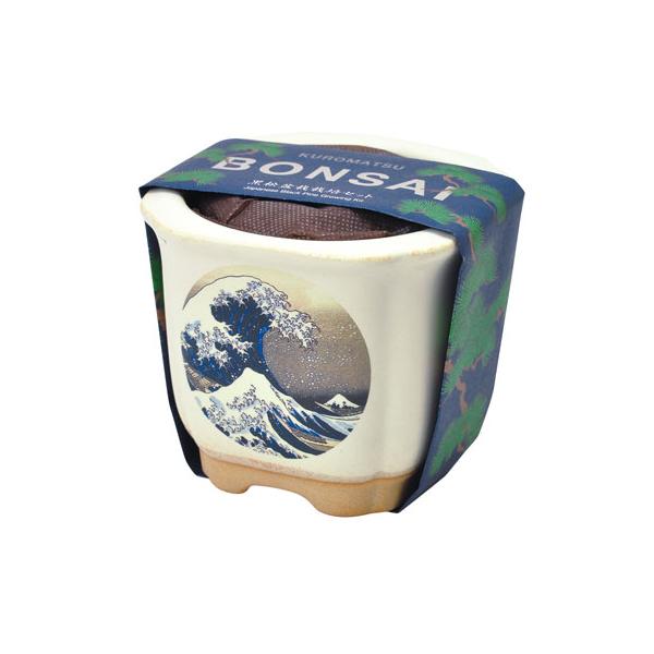 在庫状況：お取り寄せ/7日〜10日で出荷/◆日本美術の代表作をあしらった盆栽鉢で育てる黒松の栽培セット。◆はじめての盆栽栽培に、贈り物としてもおすすめです。・サイズ(約)：8.2×8.2×7.2cm/[GD64003セイシントウゲイ]