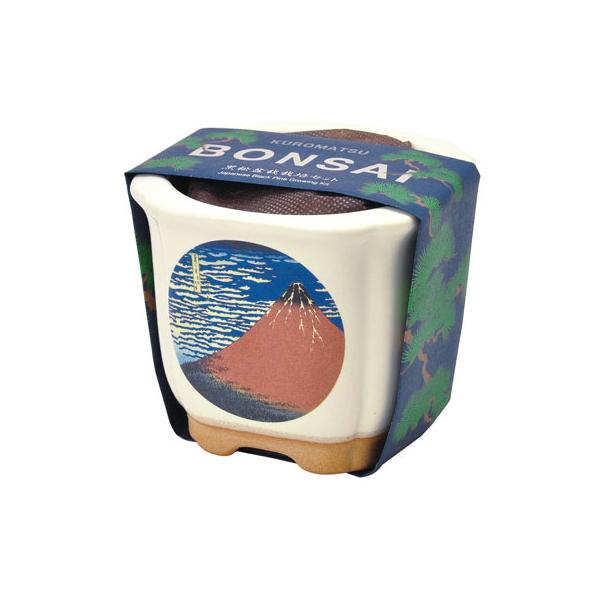 在庫状況：お取り寄せ/7日〜10日で出荷/◆日本美術の代表作をあしらった盆栽鉢で育てる黒松の栽培セット。◆はじめての盆栽栽培に、贈り物としてもおすすめです。・サイズ(約)：8.2×8.2×7.2cm/[GD64004セイシントウゲイ]