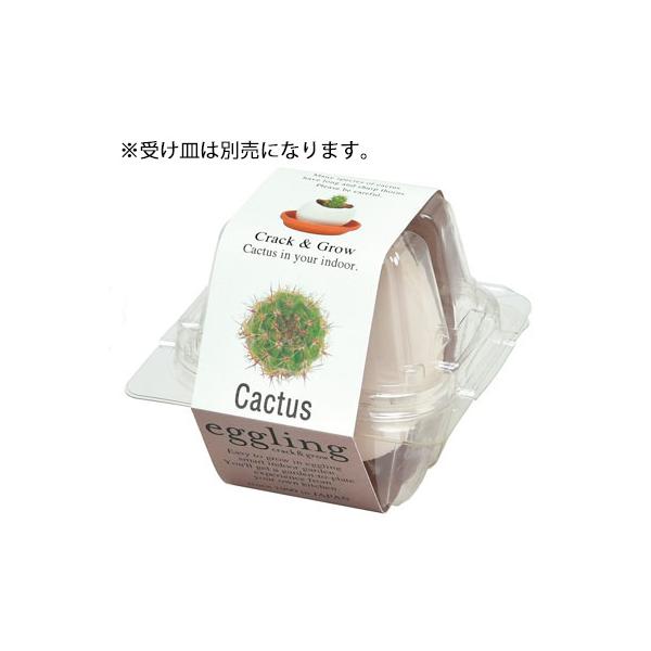 在庫状況：お取り寄せ/3日〜4日で出荷/※受け皿は別売になります。◆まるで本物のたまごのようなegglingシリーズ。◆たまごは陶器でできていて中にはタネと土がセットされています。◆上部をスプーンなどでコンコンと割って水をあげるとかわいい芽...
