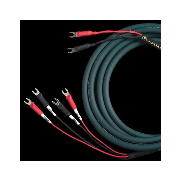 在庫状況：お取り寄せ/お届け：1〜2ヶ月/※商品写真はイメージです。※納期は約1ヶ月程かかります。ご注文確定後のキャンセル・仕様変更はお受けできませんのでご注意下さい。◆【特注品】スペードプラグ＆バイワイヤー×1 仕様(スピーカー側のみバイ...