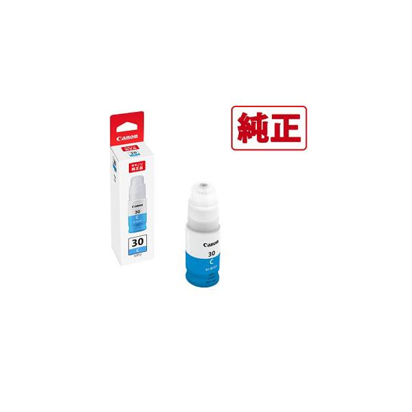 在庫状況：在庫あり/2019年06月 発売/※対応機種をご確認のうえご注文ください。※ご使用にはプリンタ本体同梱品のプリントヘッドもしくは別売のプリントヘッド(型番：CH-30)が必要です。◆キヤノン　ギガタンク搭載プリンタ・複合機用インク...