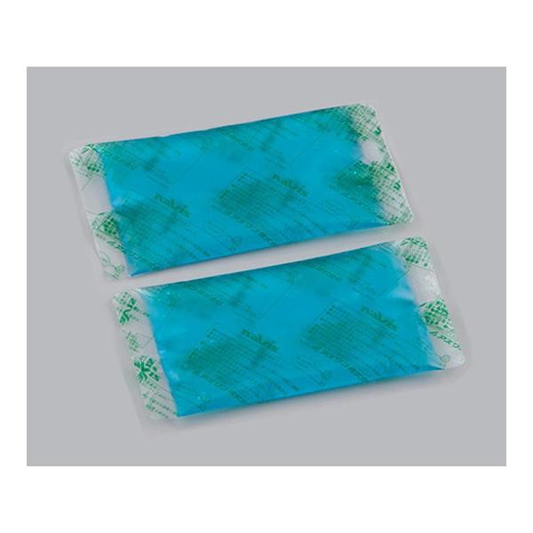 在庫状況：お取り寄せ/2002年07月 発売/※本体にカバーは付属していません。※本商品は直接患部に当てないでください。◆額・頚部・腋下などの局部クーリングに適している◆扱いやすいサイズで局部アイシングにピッタリ◆繰り返し使え、-20℃でも...